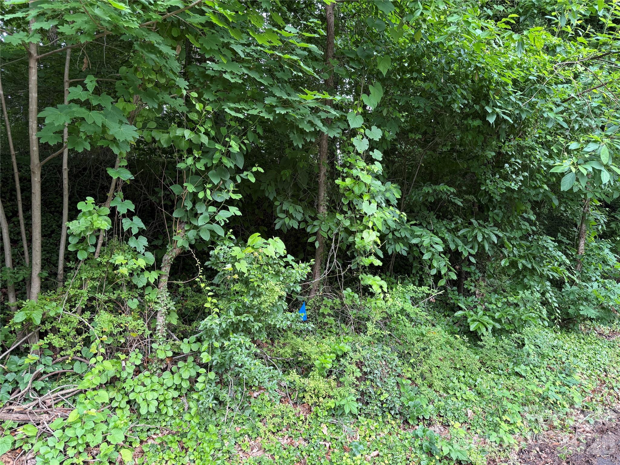 89 Iris St, For Sale in Asheville - eXp Realty