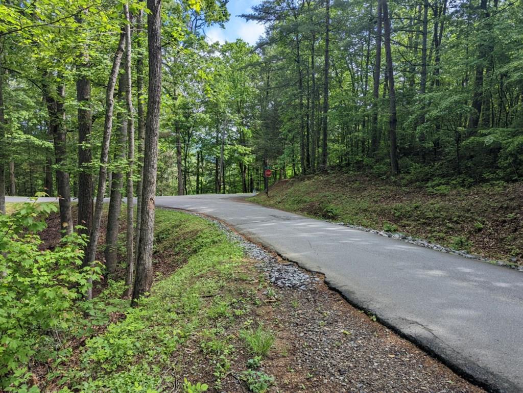 Lots 1&2 Highland Rd, For Sale in Murphy - eXp Realty