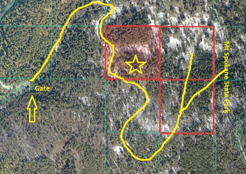 17616 E Tallman Rd, For Sale in Chattaroy - eXp Realty