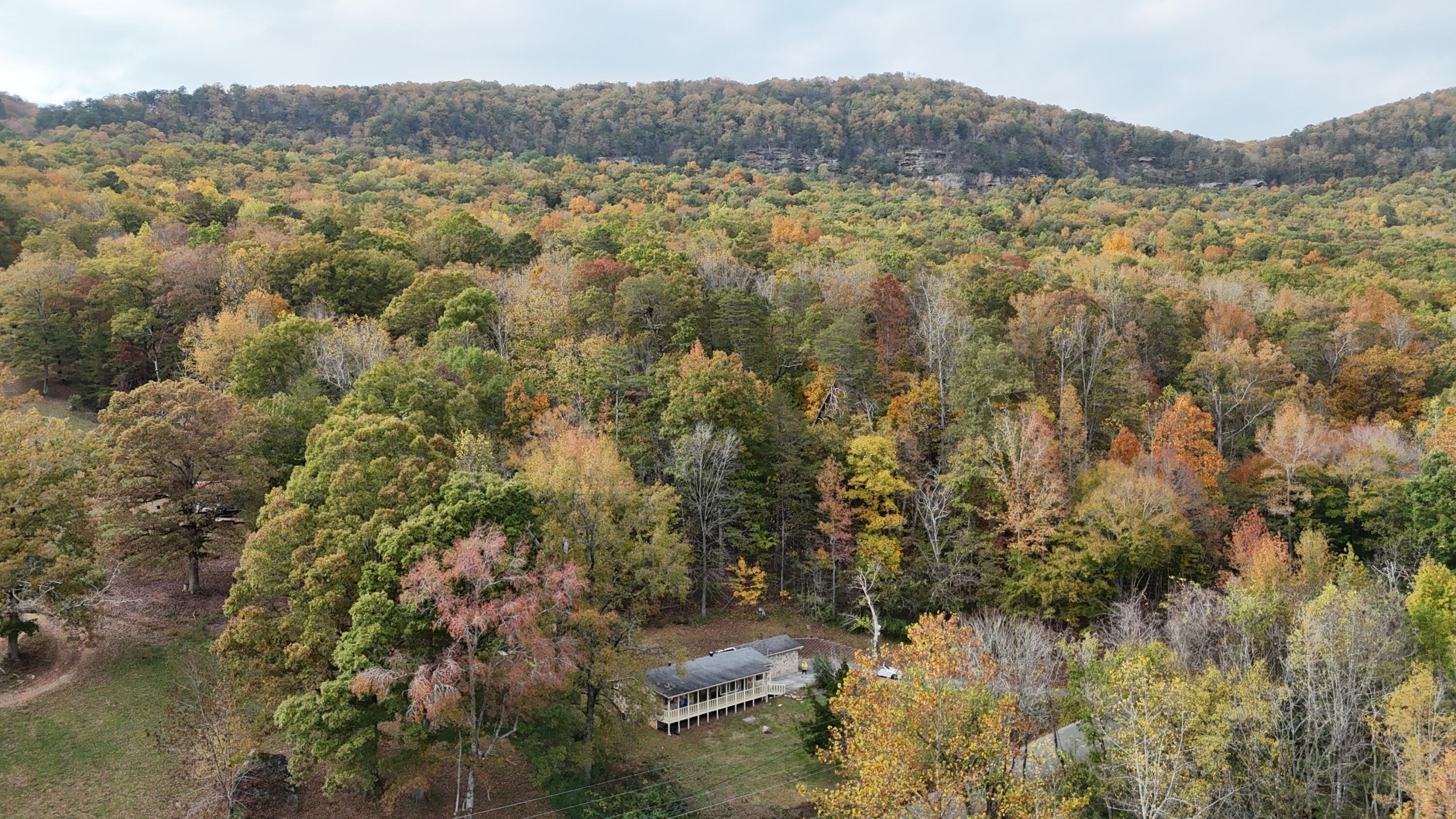 20371 River Canyon Rd, For Sale in CHATTANOOGA - eXp Realty