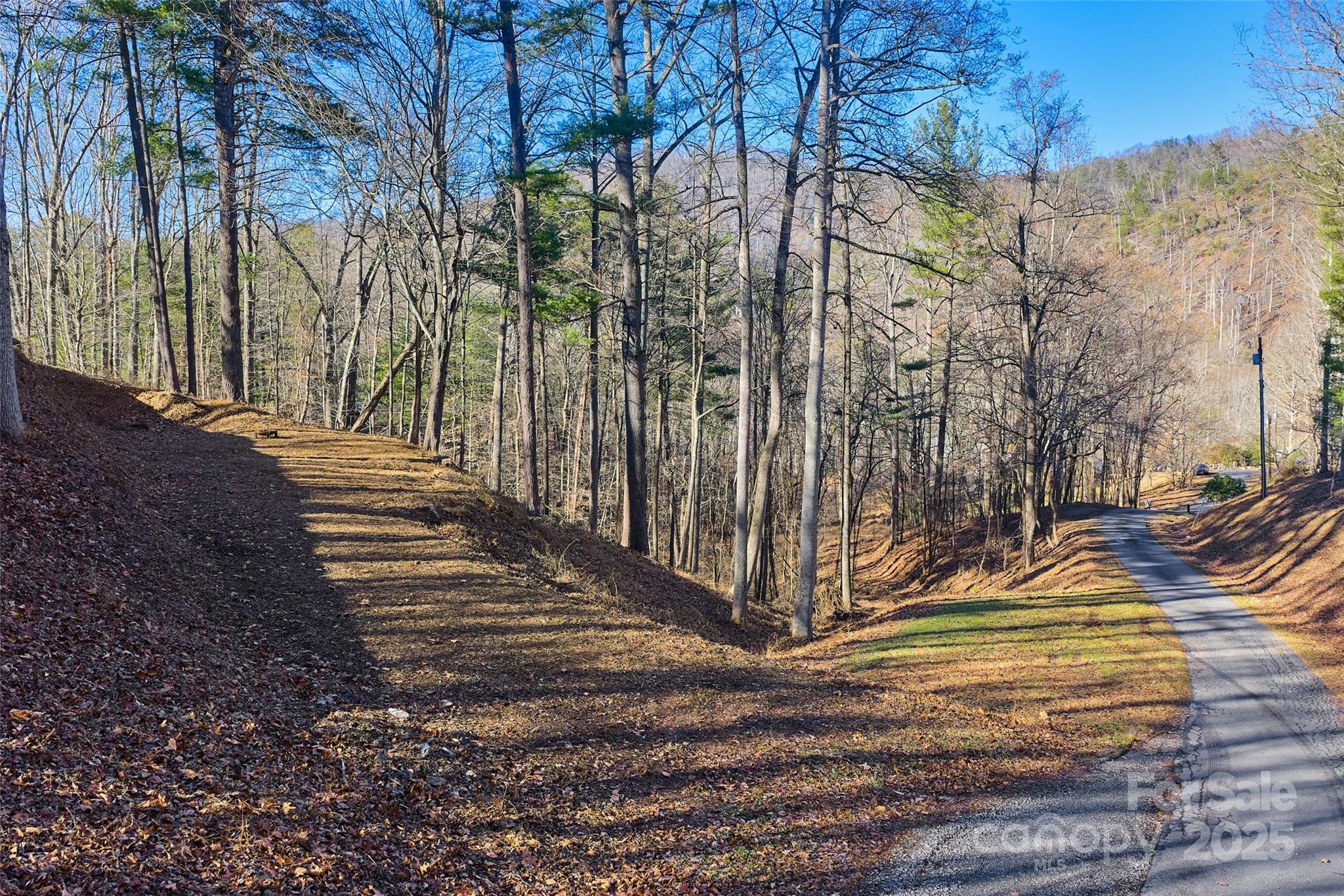 15 Beech Tree Ln, For Sale in Asheville - eXp Realty