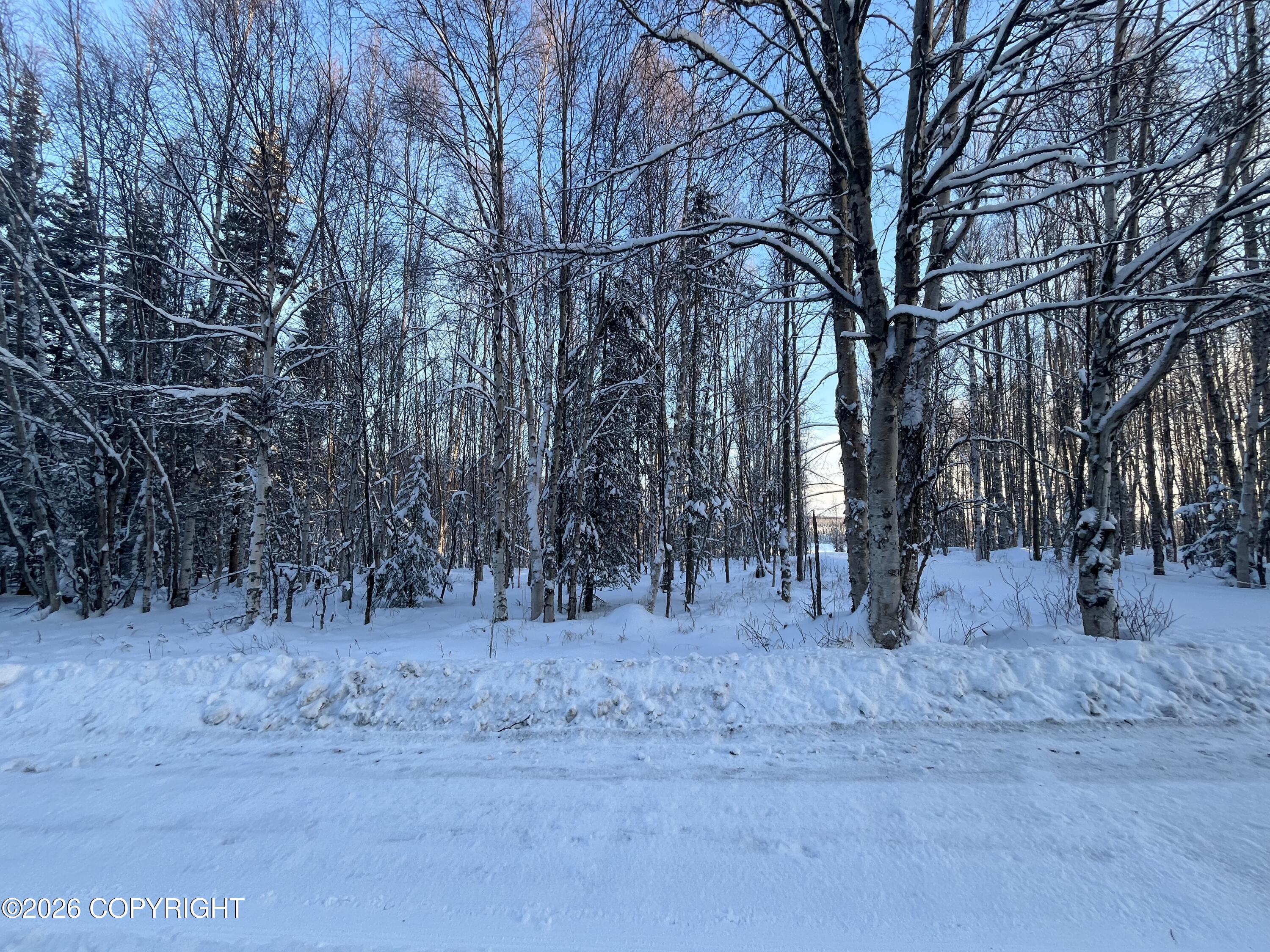 000 Shay Lynn Circle, For Sale in Soldotna - eXp Realty