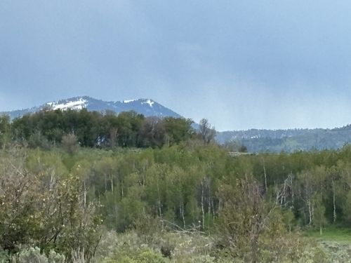Montpelier, ID Real Estate & Homes for Sale