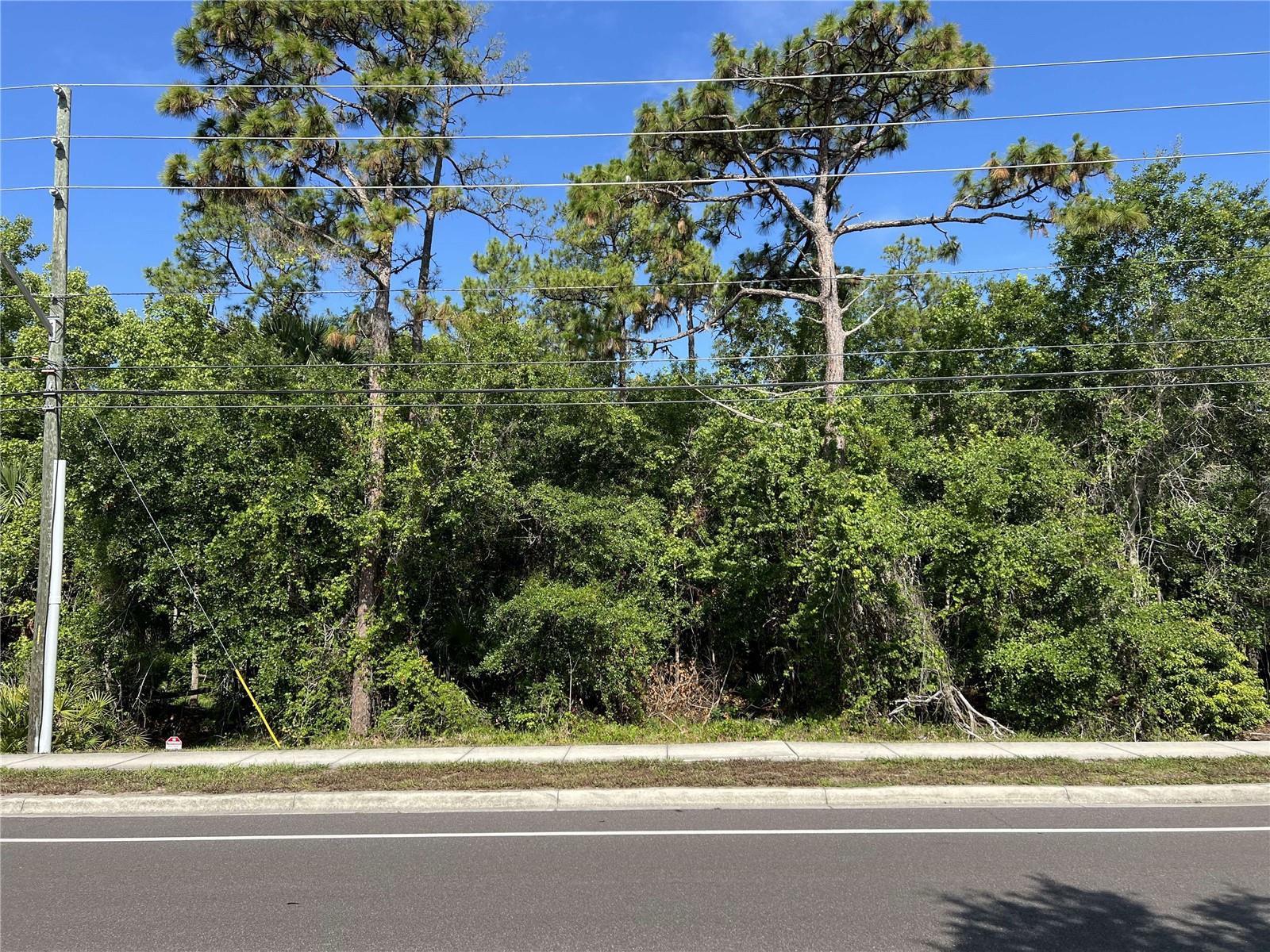 2322-2328 Rouse Road, For Sale in Orlando - eXp Realty