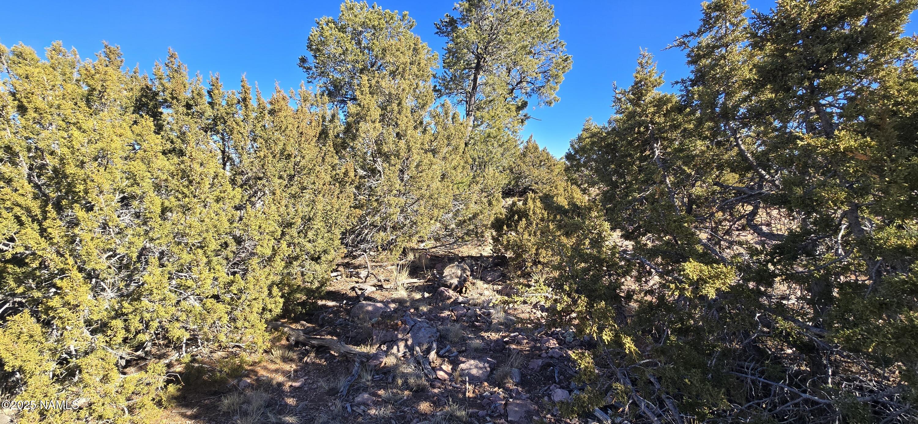 B - 4519 Lasso Loop, For Sale in Williams - eXp Realty