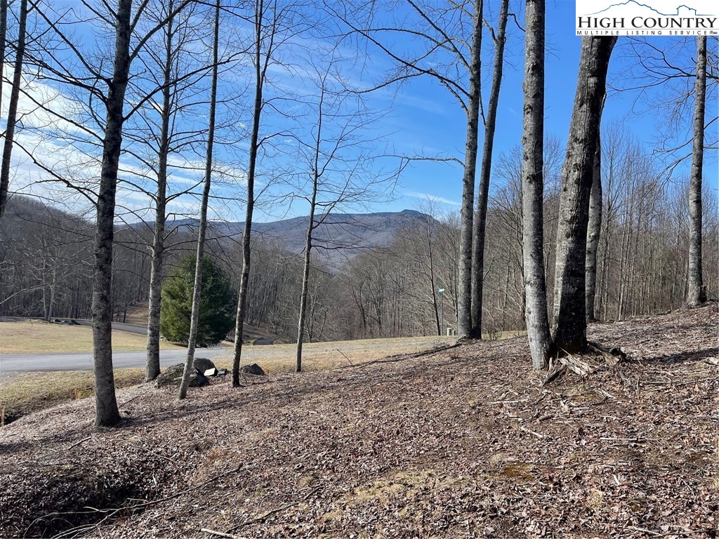 9 Jackson Ridge Rd, For Sale in Boone - eXp Realty