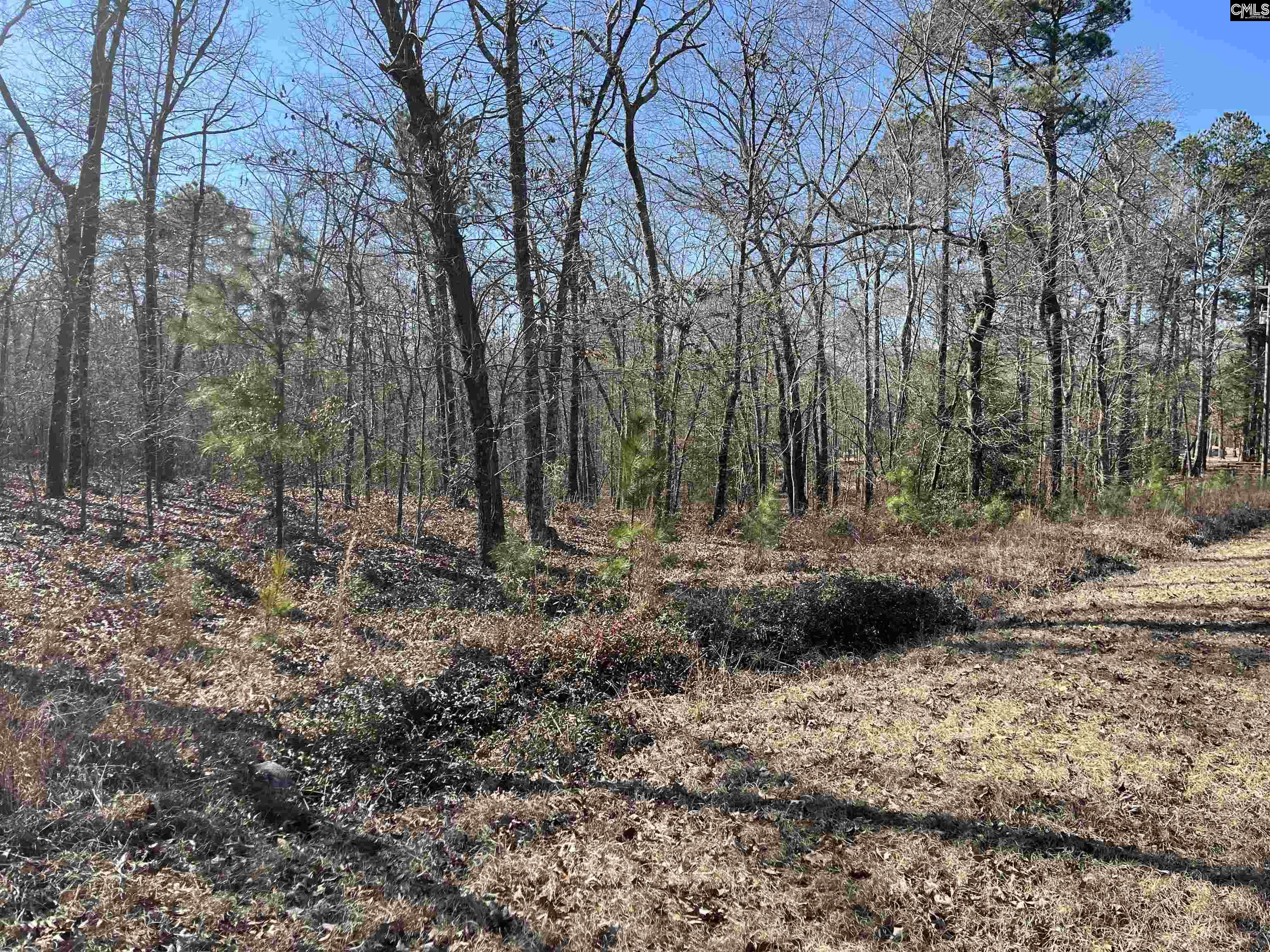 228 Water Tank Road, For Sale in Pelion - eXp Realty