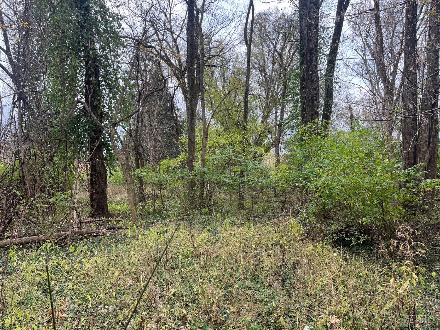 241 Monitor Ave, For Sale in Cincinnati - eXp Realty