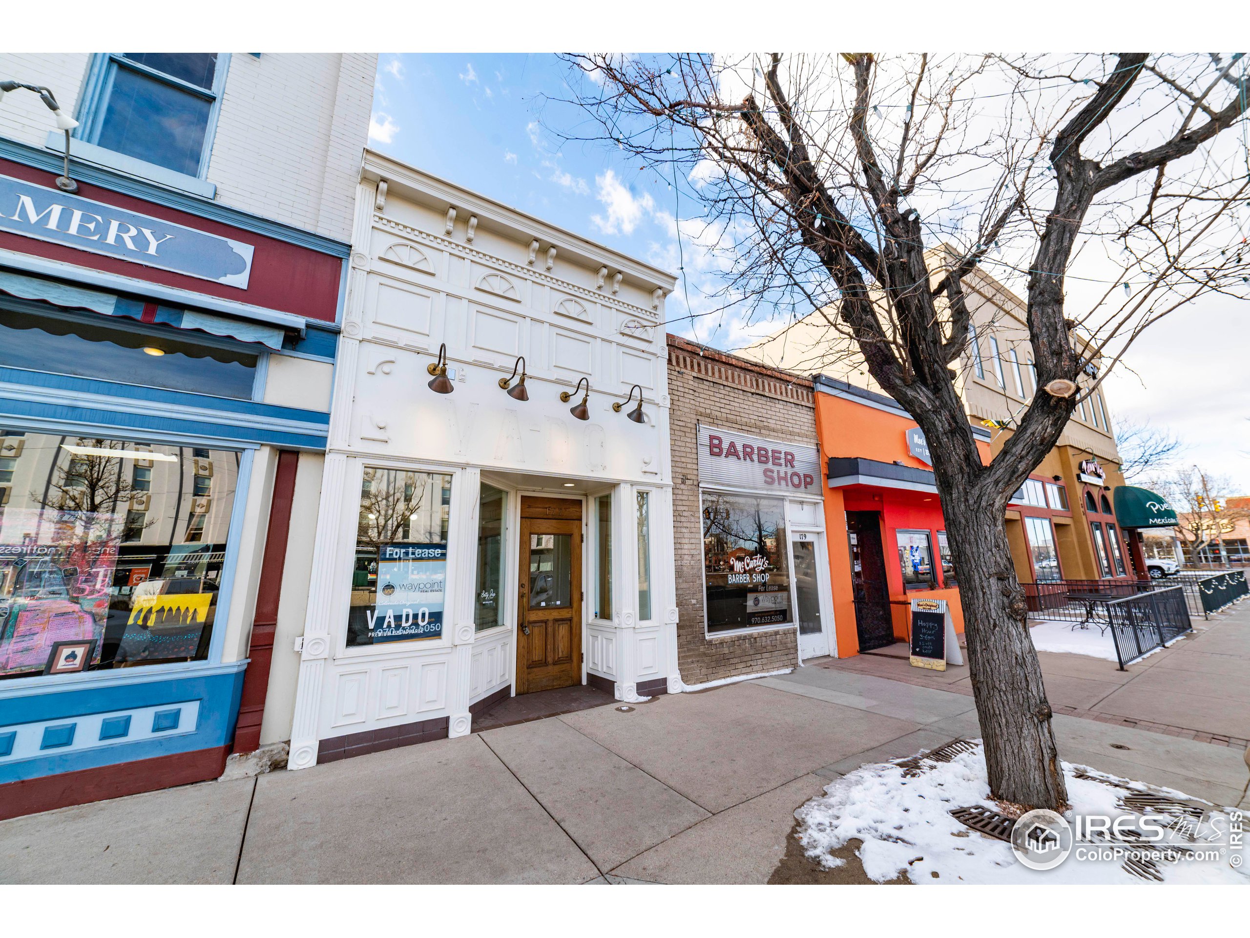 177 N College Ave, For Rent in Fort Collins - eXp Realty