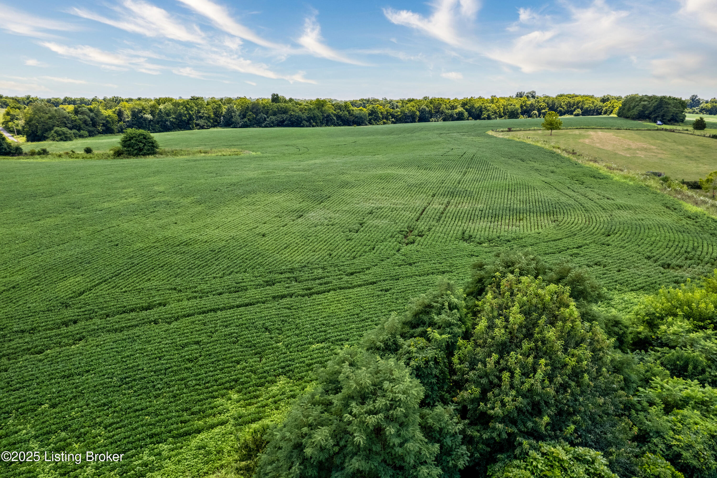 5 Cropper Rd, For Sale in Pleasureville - eXp Realty