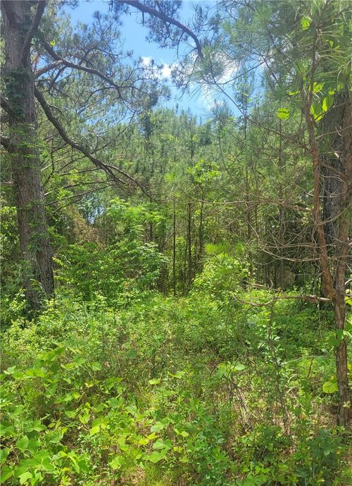 Auburn, AL Real Estate & Homes for Sale