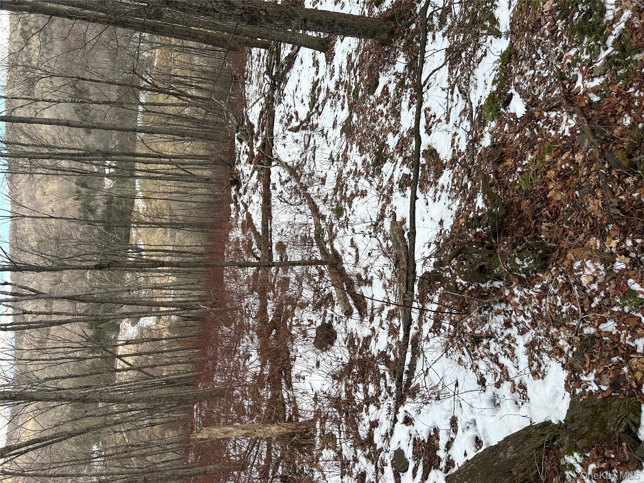 58 Kelly Corners Denver Vega Road, For Sale in Middletown - eXp Realty