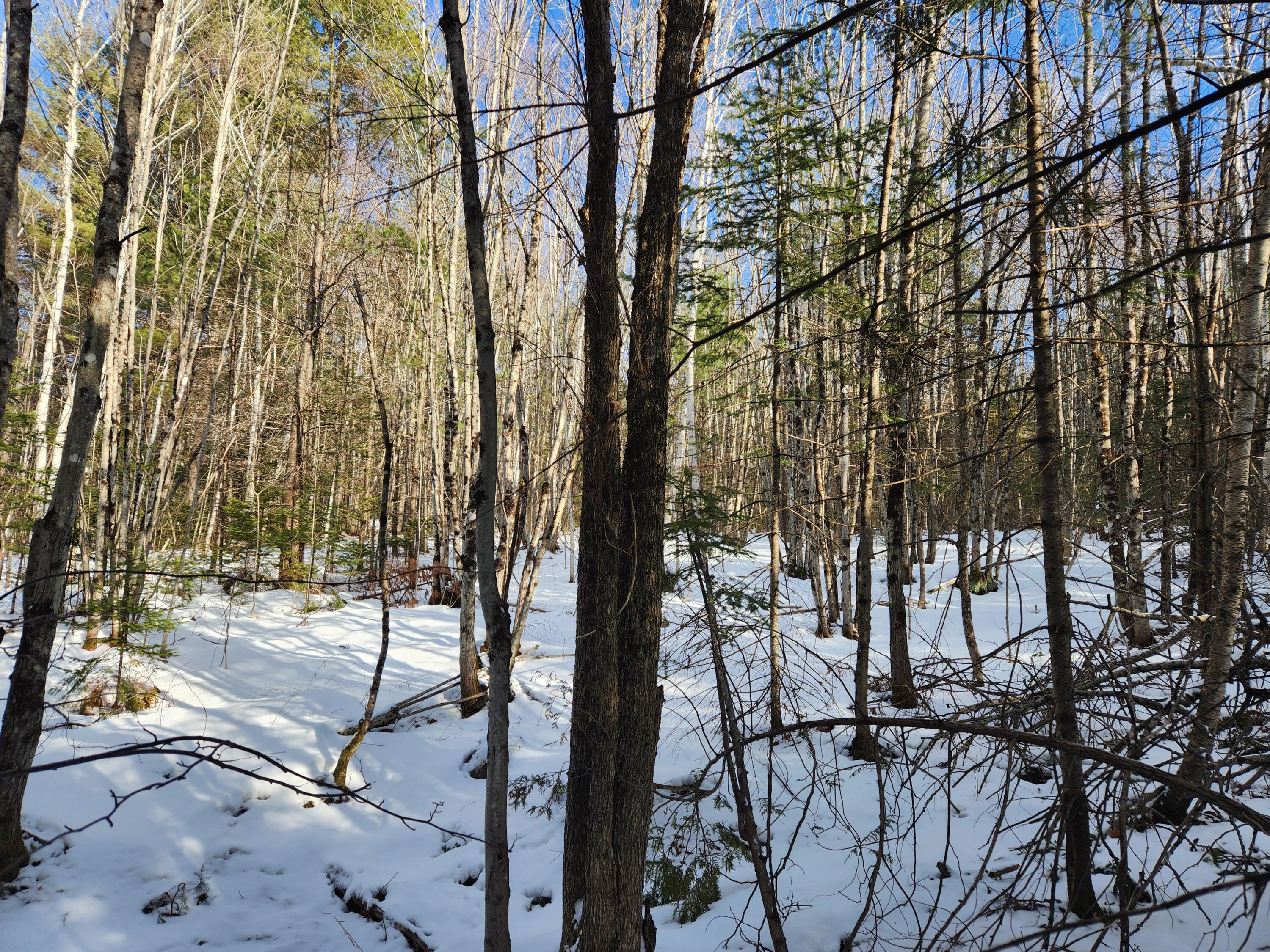 461 Map 010 Lot 4 6 1 Hebron Road, For Sale in Buckfield - eXp Realty